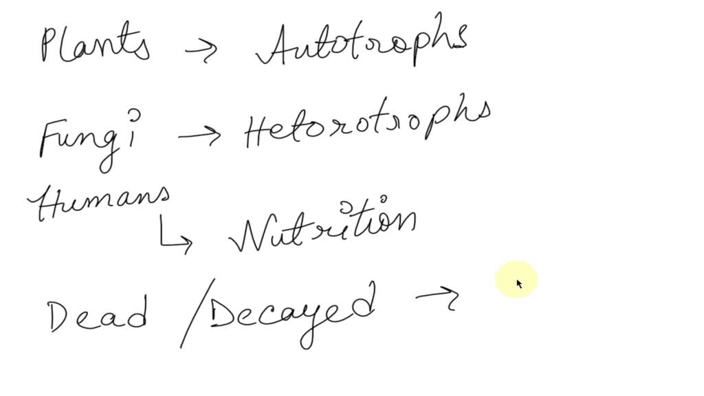 SOLVED: Which group of autotrophs below has the most complex body Iorm ...
