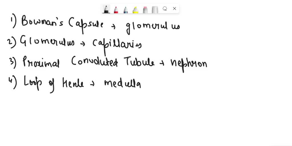 SOLVED: Review the strphron and Collecting System Structure and ...