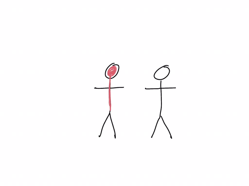 Solved What Are The Neurons That Extend Throughout The Body And
