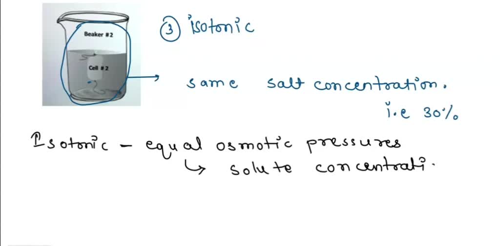 Hypertonic Solution In A Beaker