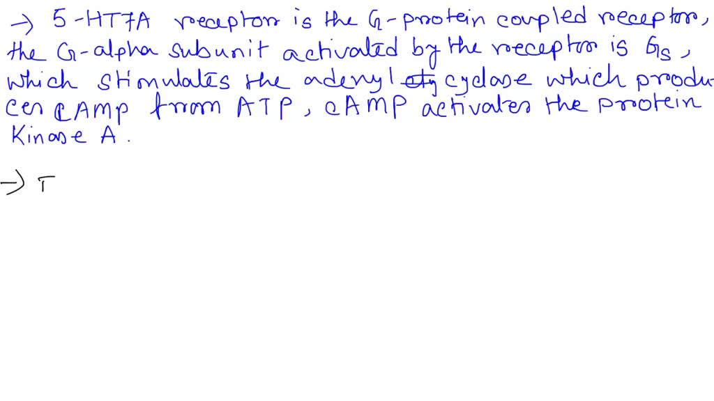 Solved Serotonin 5 Hydroxytryptamine 5 Ht Is Neurotransmitter With