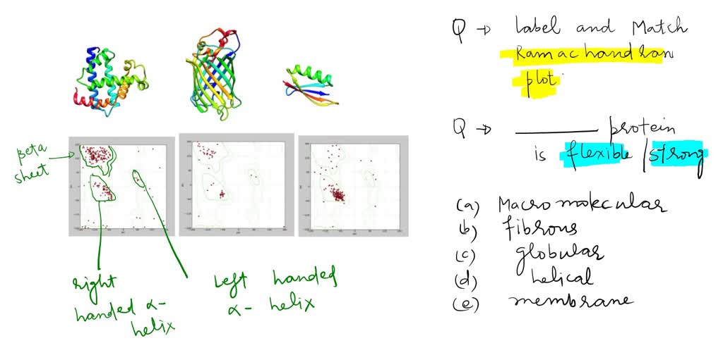 SOLVED: 'Provide a brief a description of your answer as shown in the ...