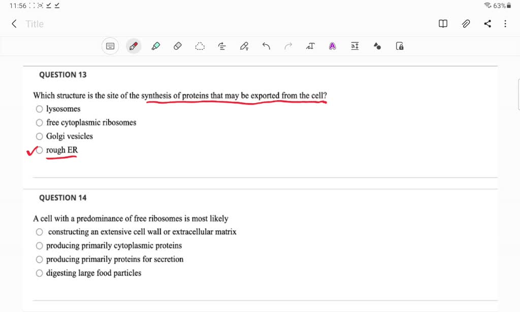 SOLVED: QUESTION 25 The correctly folded 3D configuration of a protein ... SOLVED: QUESTION 25 The correctly folded 3D configuration of a protein ...