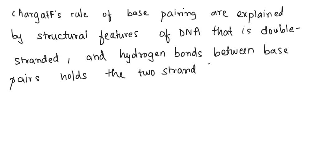SOLVED: Chargaff s rules of base pairing are explained by which structural feature of DNA? Each ...
