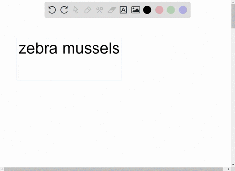 Zebra Mussel Diagram