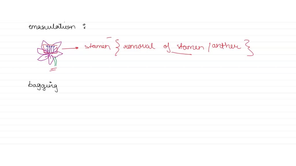 SOLVED: With the help of diagrams, describe emasculation and bagging.