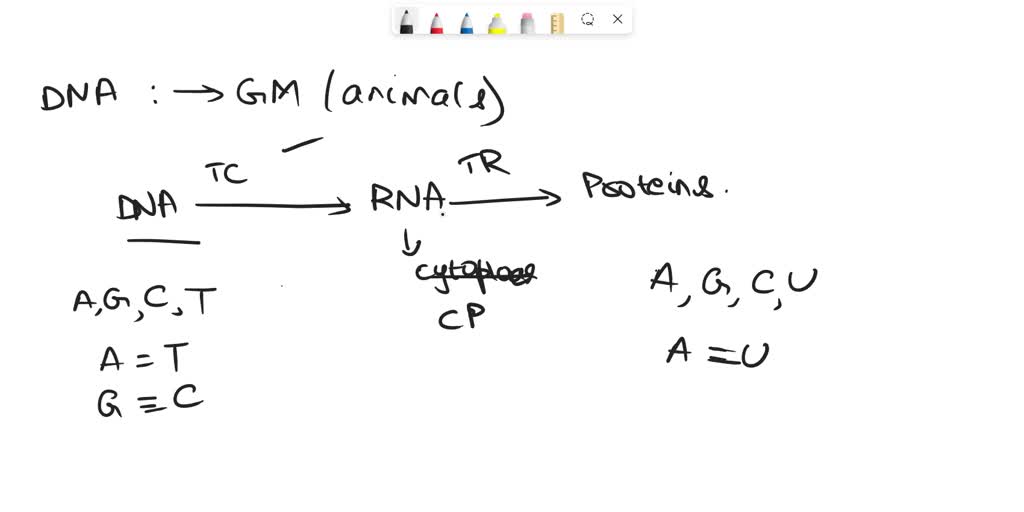 SOLVED: 'Procedure Part A: How to Decode Messages 1. Write the ... SOLVED: 'Procedure Part A: How to Decode Messages 1. Write the ...