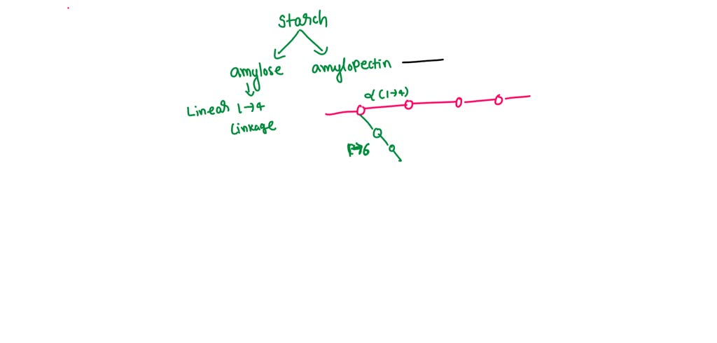 SOLVED: Breakdown of the polysaccharide amylopectin by the enzyme alpha ...