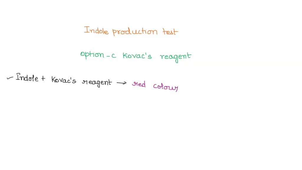 SOLVED: In indole production test, the reagent used to.37 detect the ...
