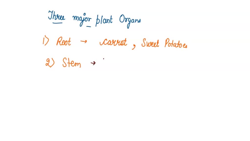 SOLVED: Name the three major plant organs in vascular plants For each ...