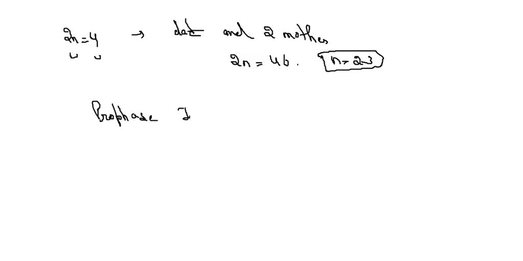 SOLVED: Using 2n = 4 and your colored pencils, follow a cell with this ... SOLVED: Using 2n = 4 and your colored pencils, follow a cell with this ...