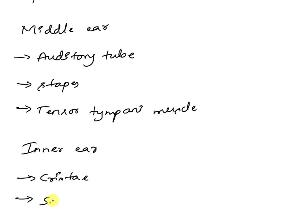 SOLVED: Differentiating Ear Anatomical Regions, Part A Indicate whether ...