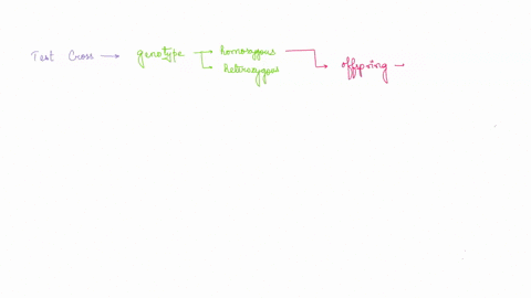 10 label the image of the enlargement of the corn monocot vascular ...