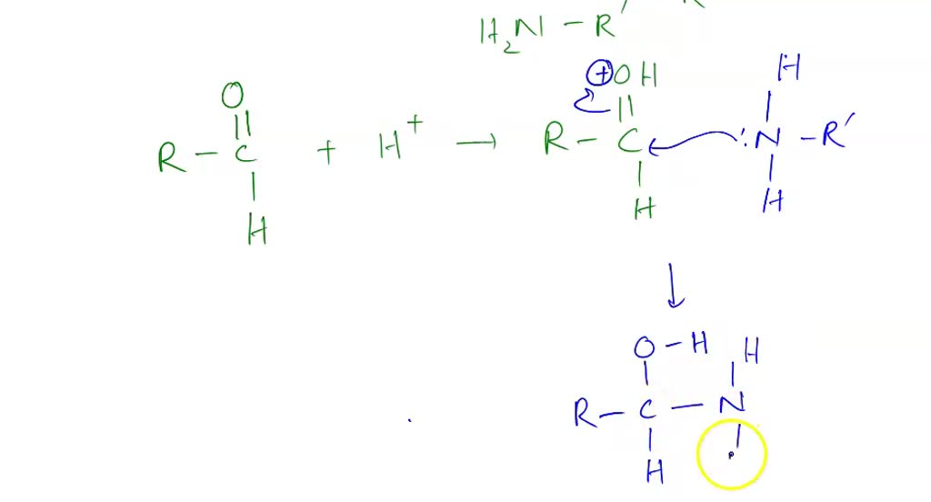 SOLVED: Show the mechanism of the reaction between an aldehyde with 2,4 ...