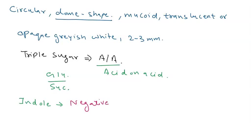 SOLVED: Texts: Gram type Morphology Blood Hemolysis (Blood Agar ...