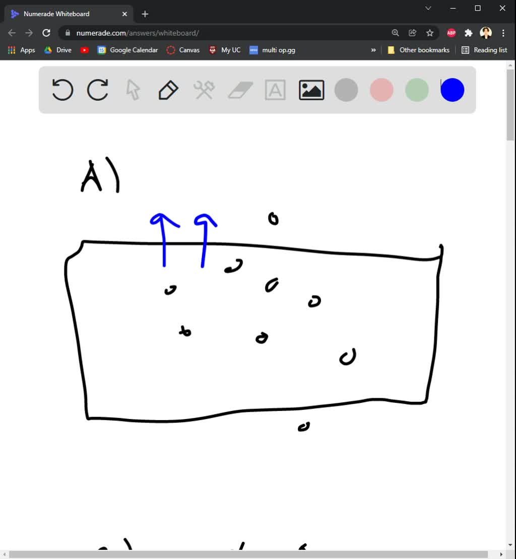 Solved Simple Ditturion Through Tbe Ehospholipid Bilarer Lipid Soluble