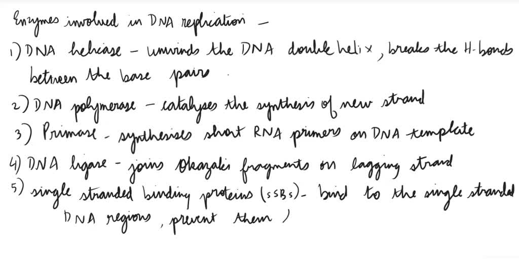 SOLVED: Draw a Eukaryotic replication fork that includes both continuous and discontinuous ...