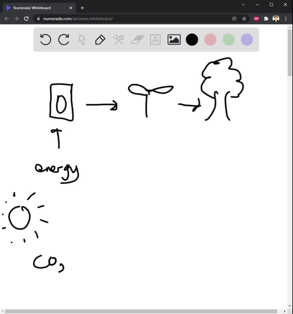 SOLVED: 'Explain how a single plant cell can be grown into an ...