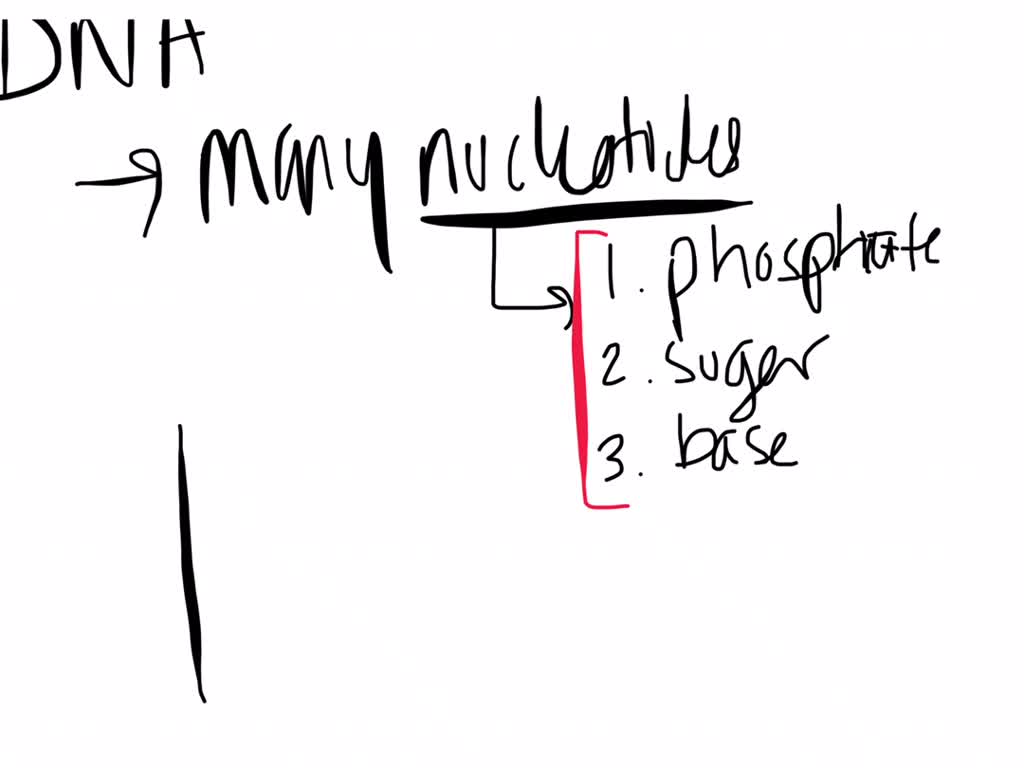 VIDEO solution: 26. Which row correctly identifies the structures labeled A, B, and D ...