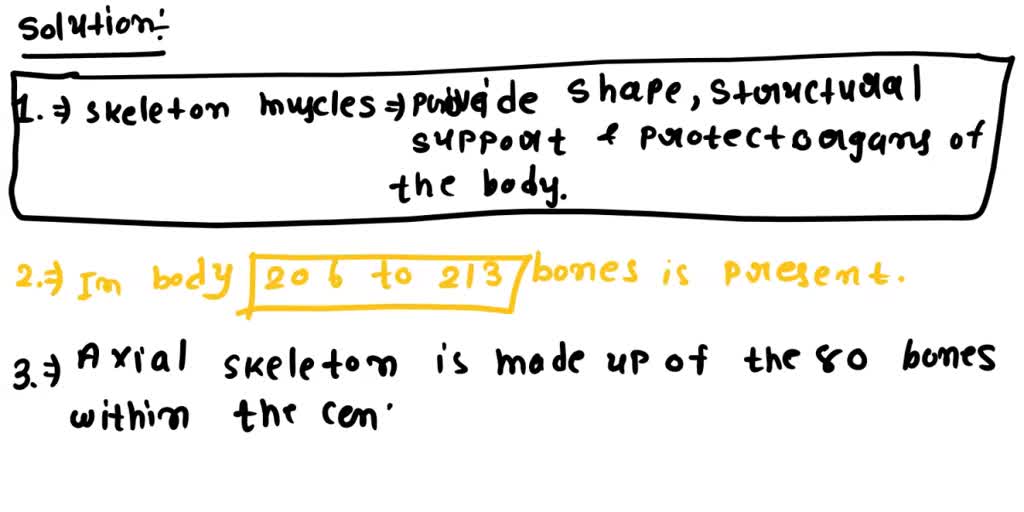 SOLVED: The Skeleton You will be able to identify the purpose of each ...
