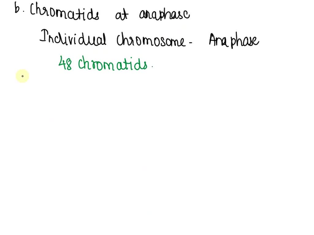 In Coleus, the somatic cells are diploid with 24 chromosomes. How many ...