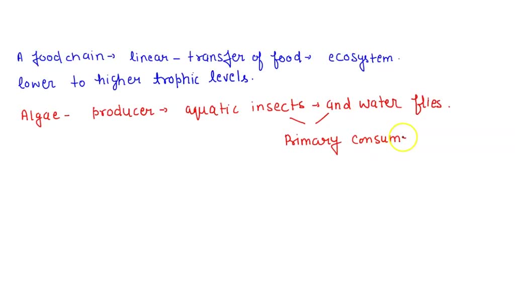 VIDEO solution: The following image is a food web in aquatic ecosystem ...