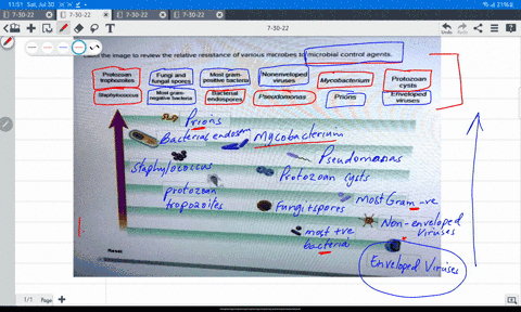 Label the image to test your understanding of common measurements ...