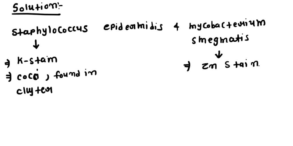 SOLVED: Organism Staining method (ZN or K) Cellular morphology and ...