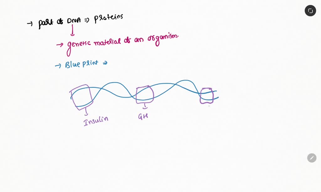 SOLVED: a segment of dna that codes for a protein is called a