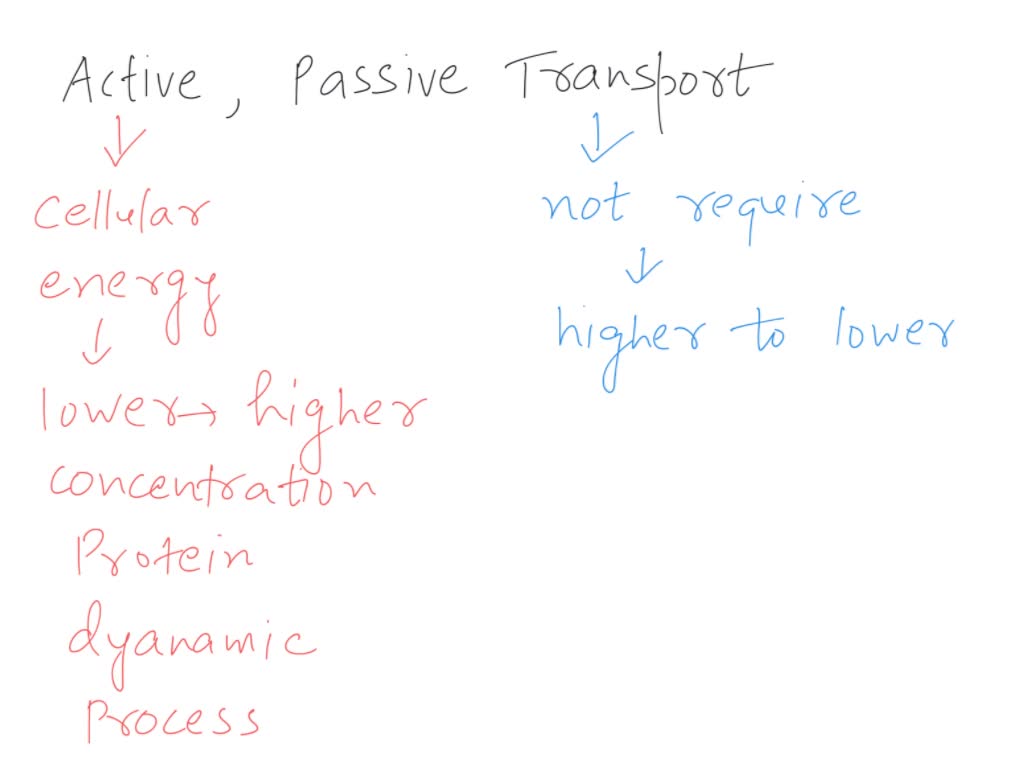 SOLVED: Compare and contrast active versus passive transport. Why are ...