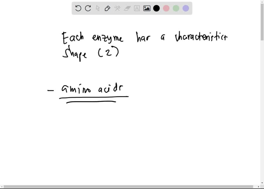 SOLVED Which Characteristic Allows Enzymes To Function In Specific Way solved-which-characteristic-allows-enzymes-to-function-in-specific-way