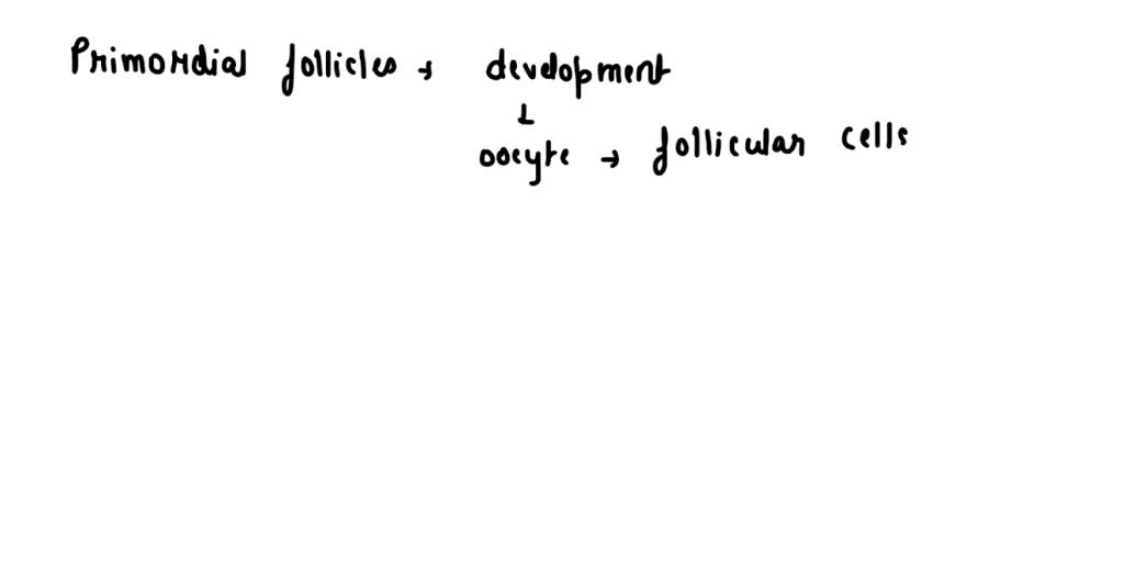 SOLVED: Label the major structures of the female reproductive system ...