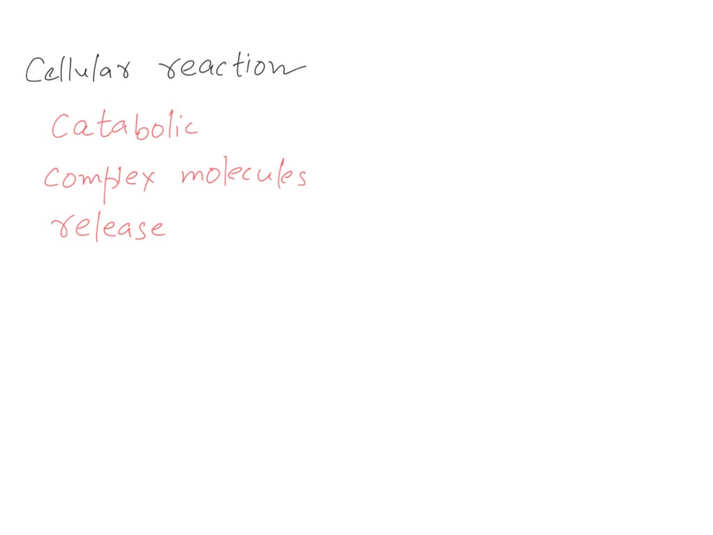 SOLVED: Question 6 1pts Considered separately the chemical breakdown of ... SOLVED: Question 6 1pts Considered separately the chemical breakdown of ...