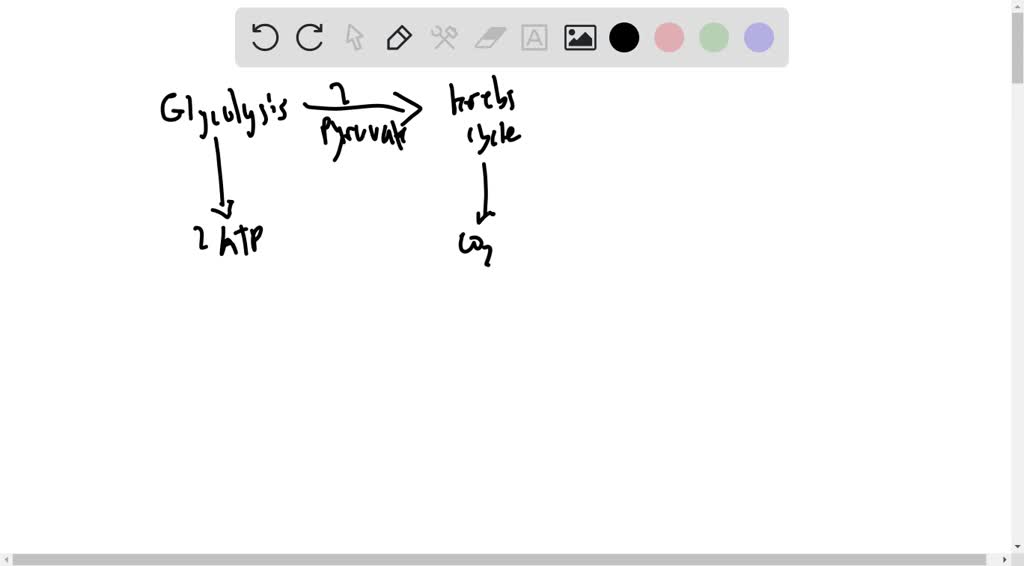SOLVED: Create a flowchart or diagram to highlight the process of ...