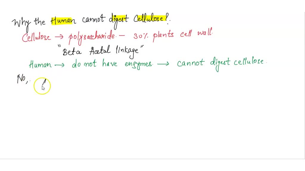 SOLVED: Cellulose could provide a widely available and cheap form of ...