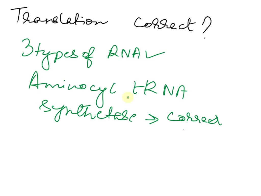 Solved In The Process Of Translating A Source File Into An Executable File Which Of The 