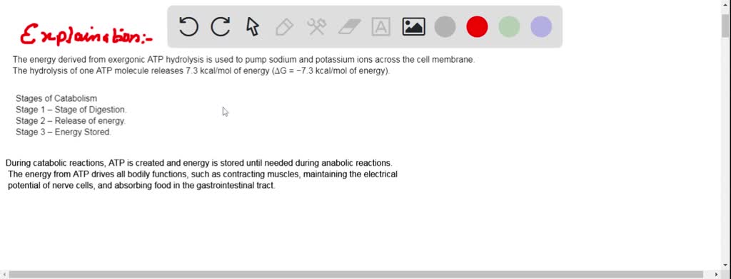 SOLVED: Describe three stages of catabolism and the role of ATP. How ... SOLVED: Describe three stages of catabolism and the role of ATP. How ...