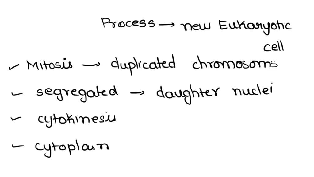 SOLVED: The process of forming a new eukaryotic cell is called ...
