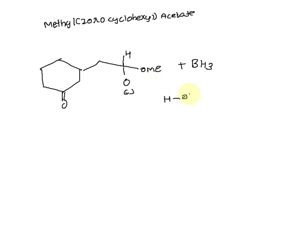 Solved Draw All Possible Products Formed Wen Tne Compound Shown Below