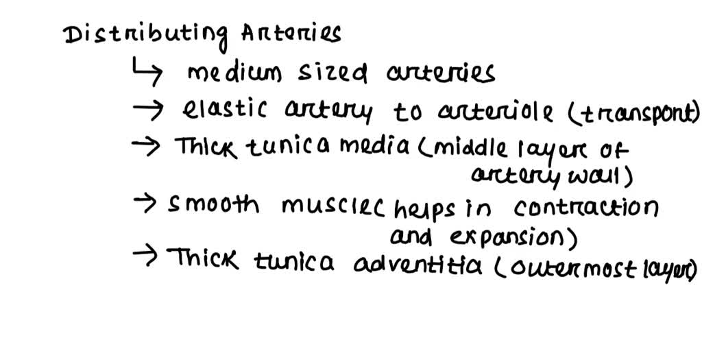 SOLVED: Select a correct description of distributing arteries. Select ...