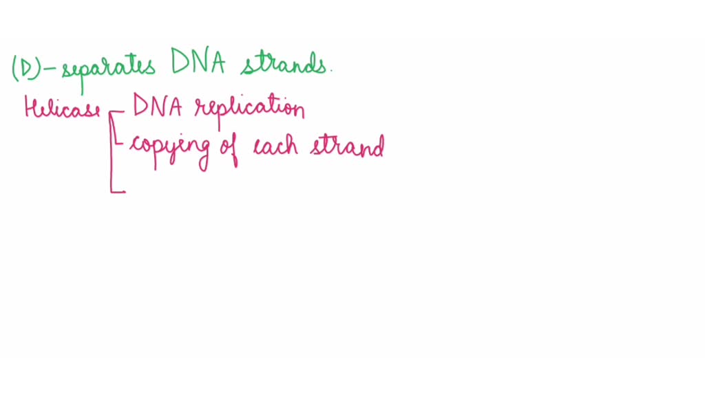 SOLVED: The function of this part (yellow) of the DNA structure is ...