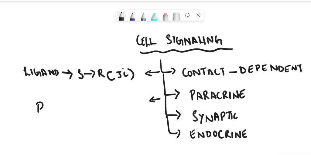 solved-list-and-define-three-different-types-of-collective-behaviors
