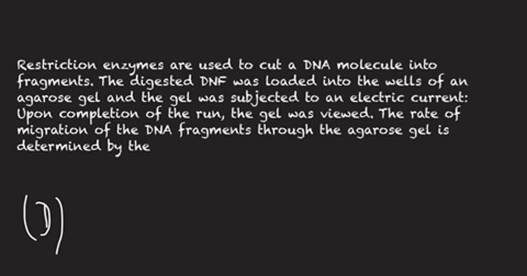 SOLVED: Question 33 After being digested with a restriction enzyme ...