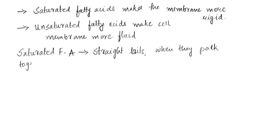 Cell Membrane Saturated Vs Unsaturated At Antonio Christie Blog