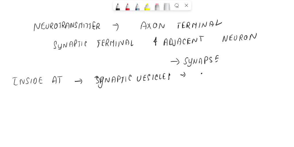 SOLVED: Neurotransmitters are released into the , the gap between ...