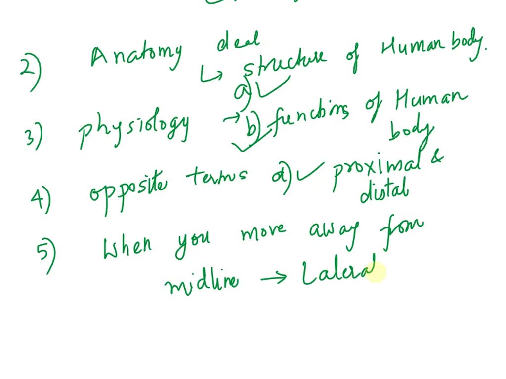 SOLVED: P - A. coronal B. frontal C. transverse D. sagittal The body is ...