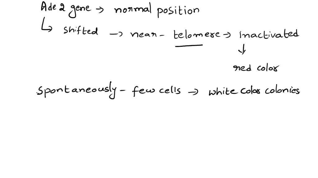 SOLVED: Carefully consider the result shown in Figure Q5-13 Each of the ...