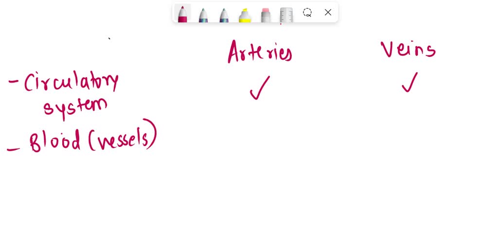 SOLVED: At least five similarities between anathomic structures of ... SOLVED: At least five similarities between anathomic structures of ...