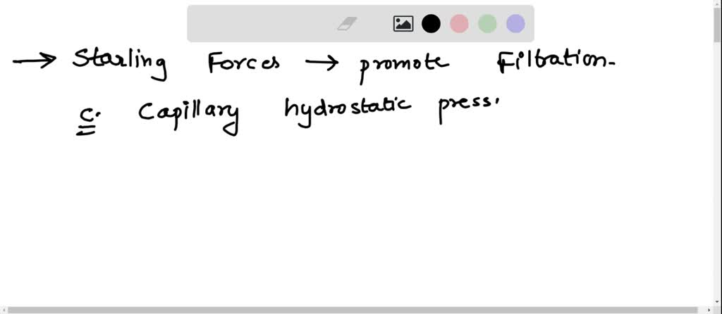 SOLVED: Based on the following Starling forces/pressures, what ... SOLVED: Based on the following Starling forces/pressures, what ...