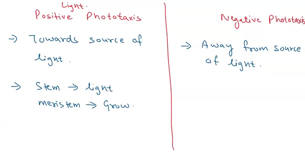 SOLVED: Text: Why is positive photoresist preferred over negative ...